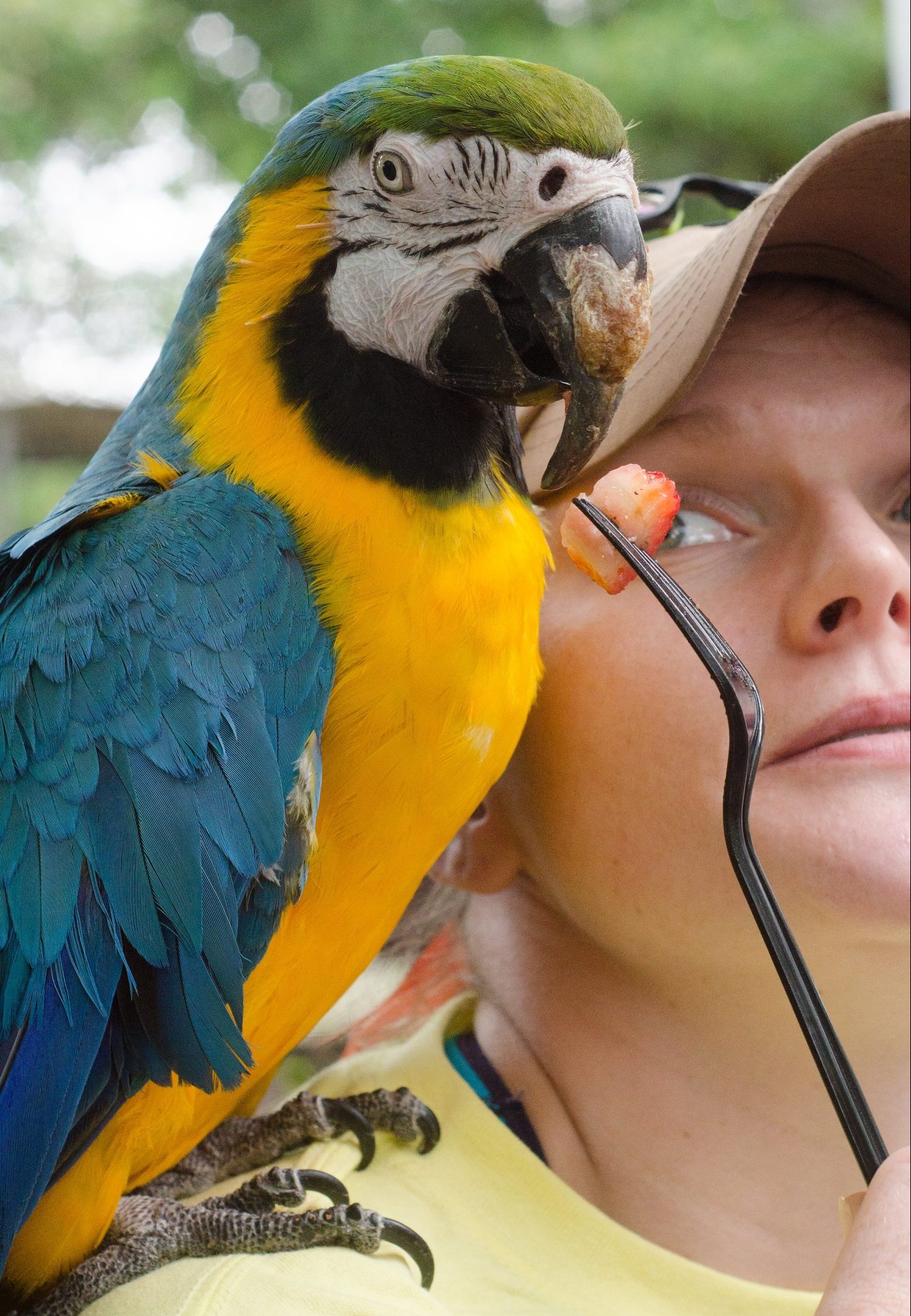 All Rights Reserved © 2025